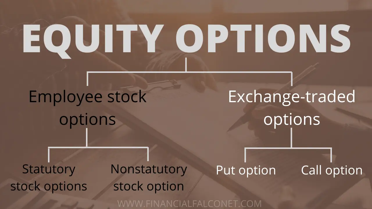 Equity Options: Examples and Types - Financial Falconet