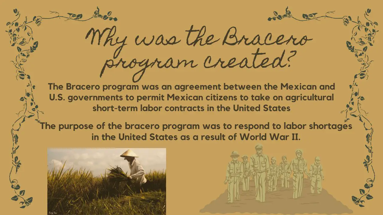 Why was the Bracero program created? - Financial Falconet