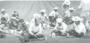 What was the bracero program? (Mexican farm labor program) - Financial ...