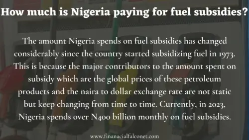 How much is Nigeria paying for fuel subsidy? - Financial Falconet